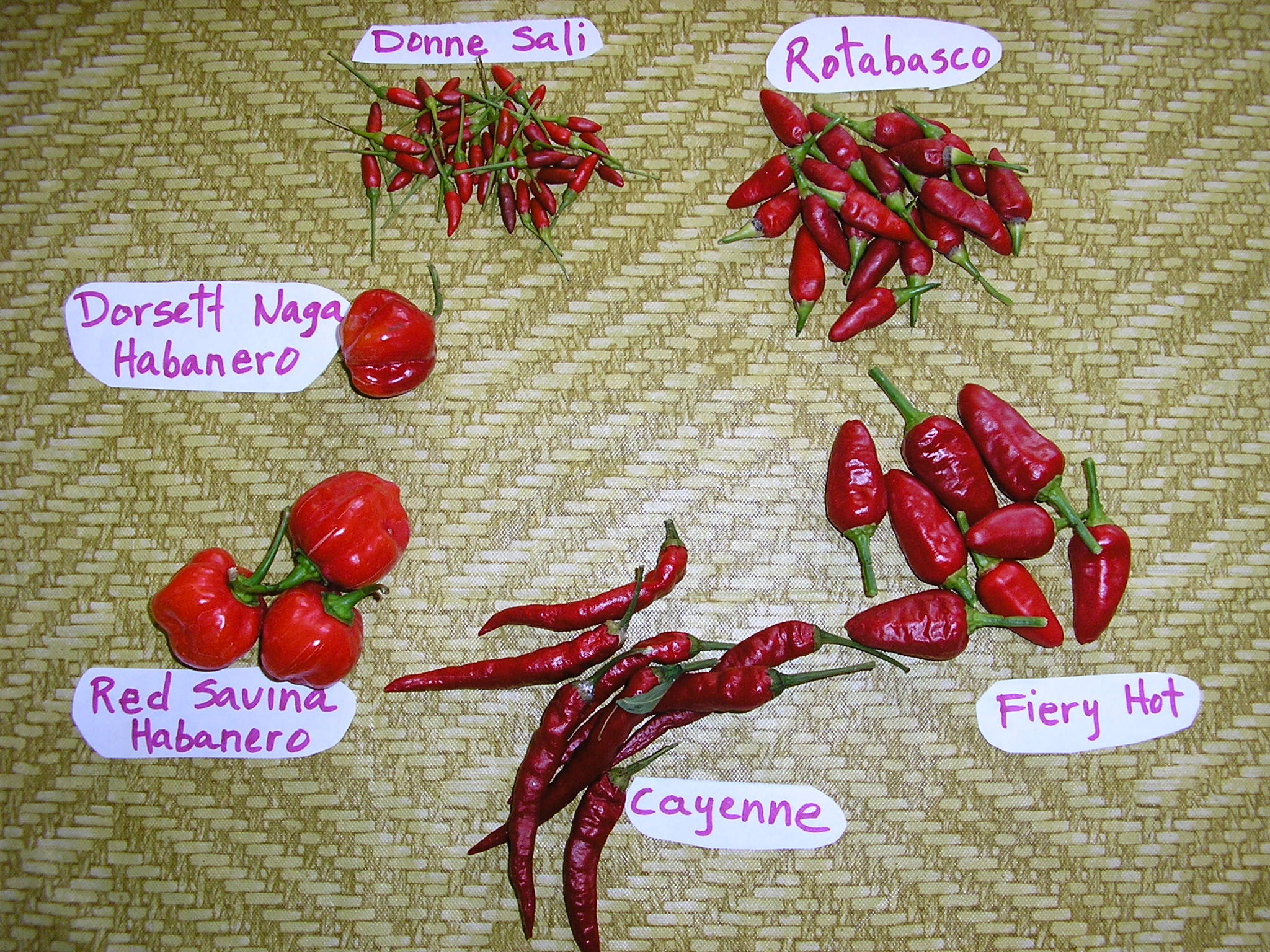 Hot Pepper Challenge – Another Day In Paradise