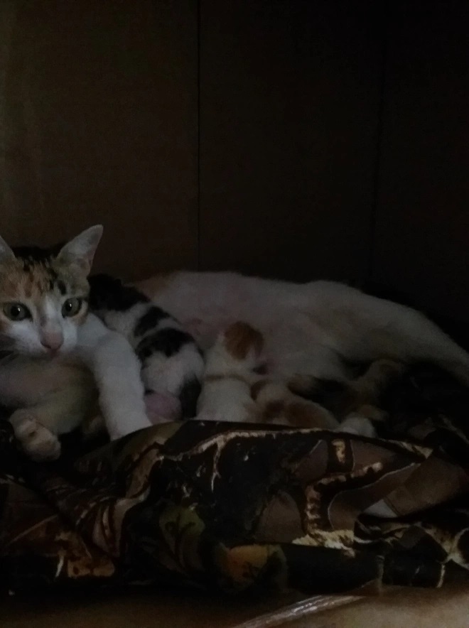 Morning Surprise – Another Day In Paradise